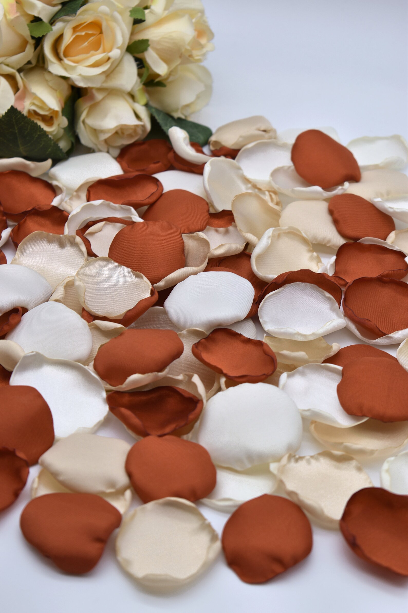 Terracotta Rose Petals, Champagne Petals, Ivory Petals Terracotta ...