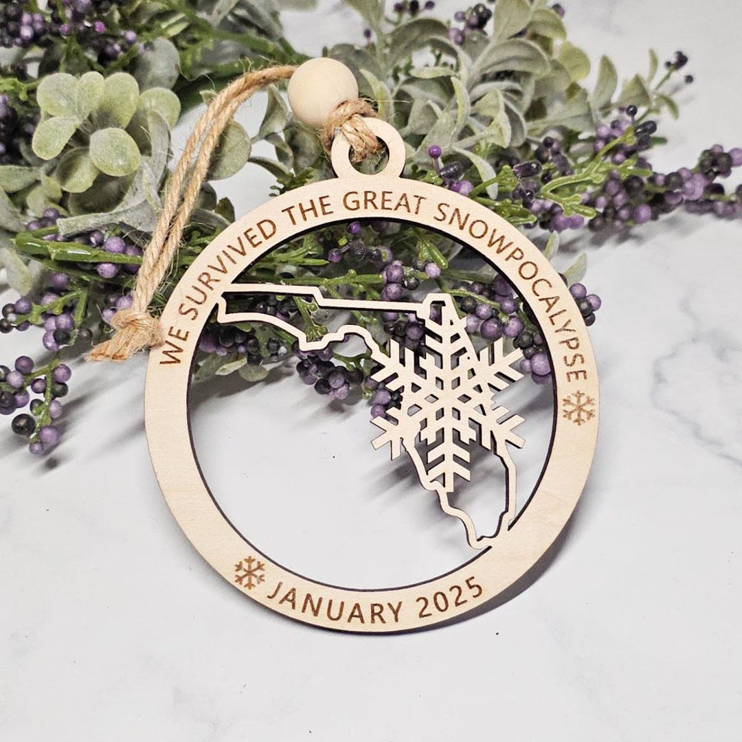 Snowpocalypse, We Survived Ornament, Snow Florida, Enzo, Florida State ...