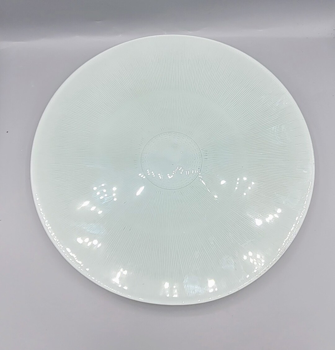 Beautiful Vidreco by La Mediterranea Large Serving Platter ~ 100% ...