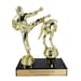Kick Ass Trophy - Custom Funny Office Award 7" Tall - Includes ...