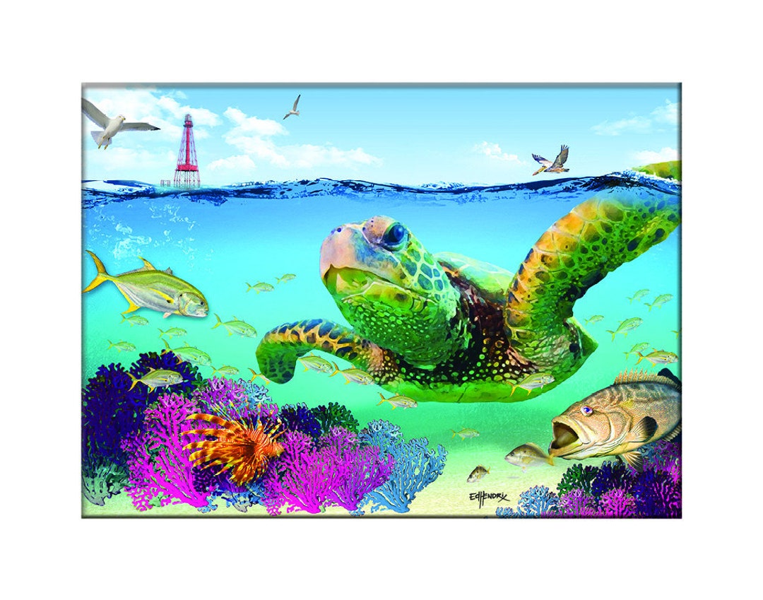 Sombrero Turtle - Etsy