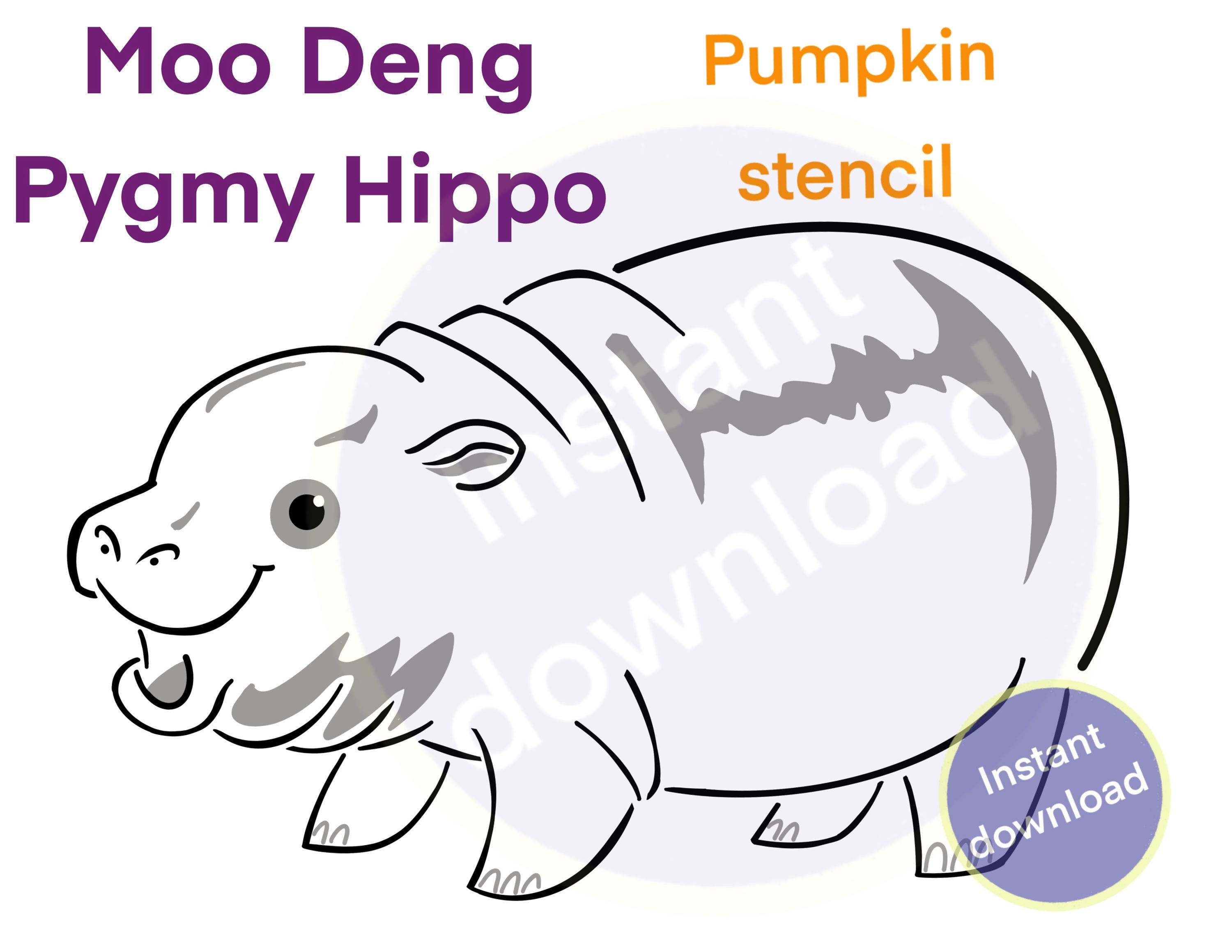 Moo Deng Pygmy Hippo CUTE Pumpkin Stencil Jack O Lantern Easy Instant ...