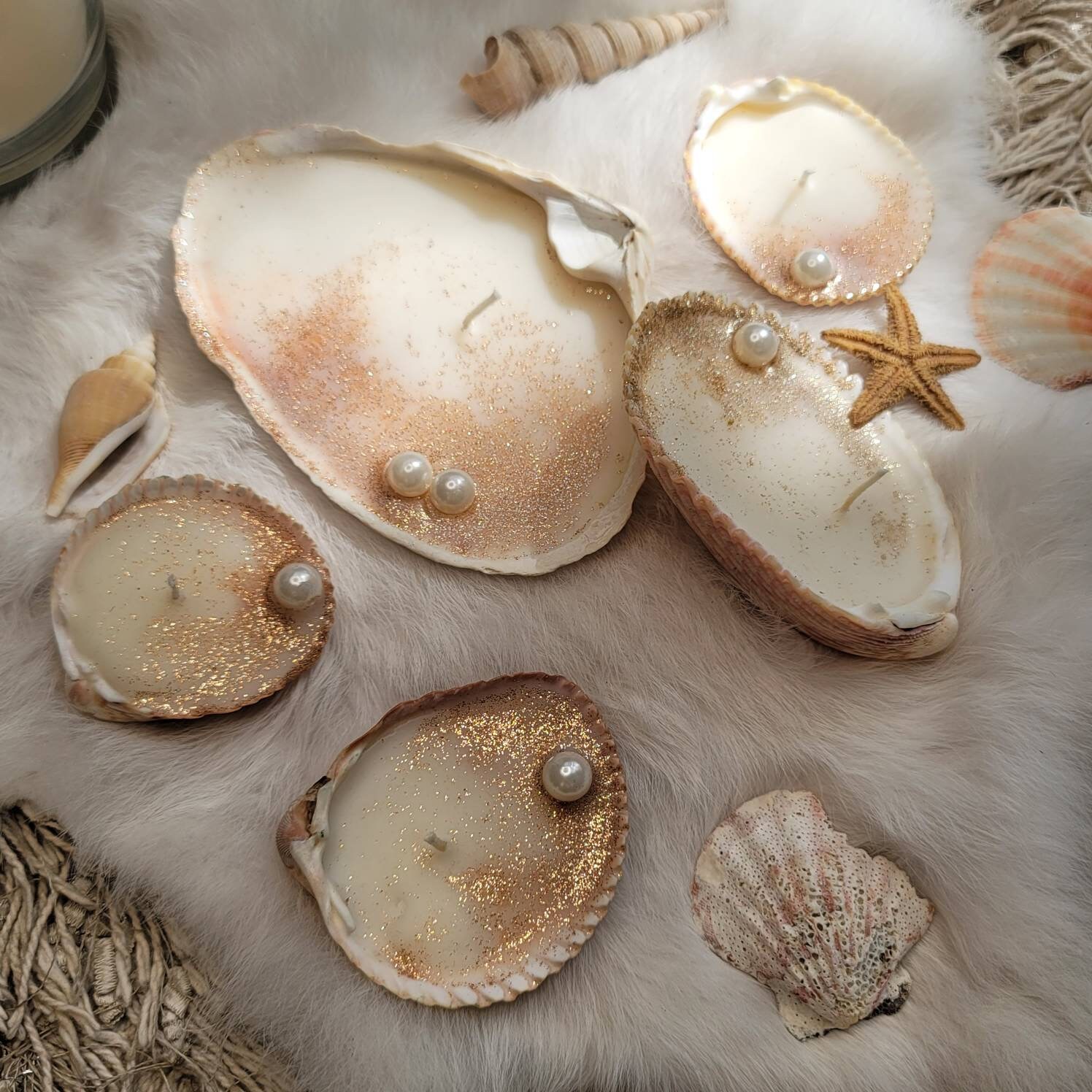 Divination Ocean Treasures Sea Shell Candles - Etsy