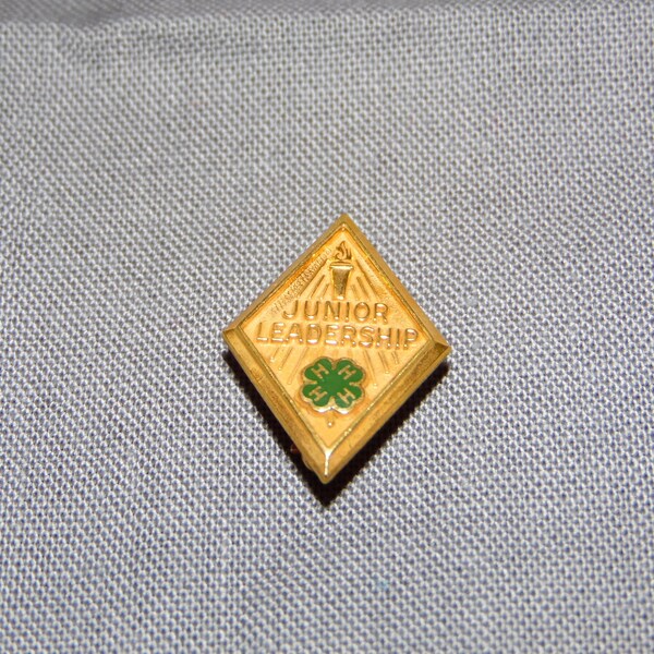 4 H Pin - Etsy