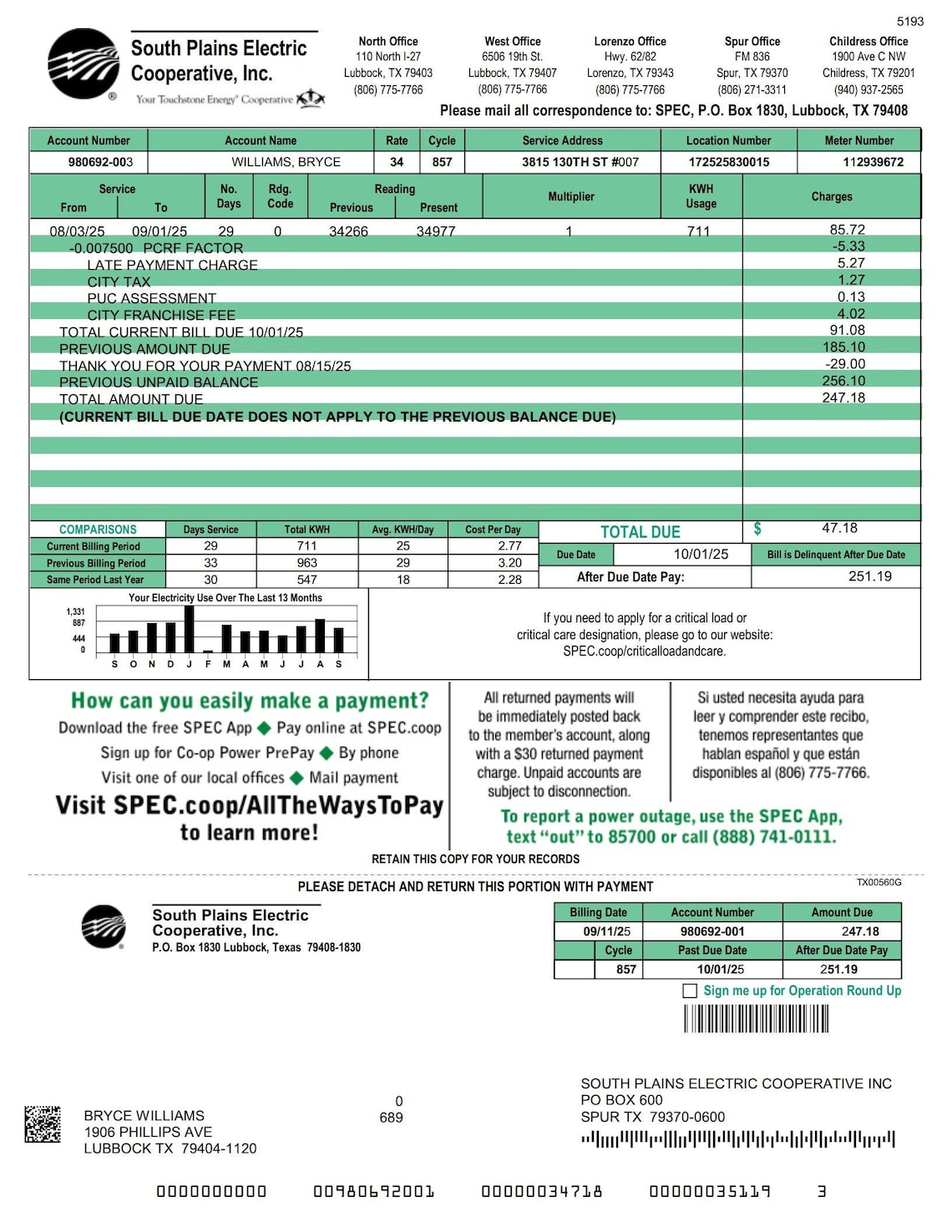 Electricity Utility Bill Template - Customizable Fields - Digital ...
