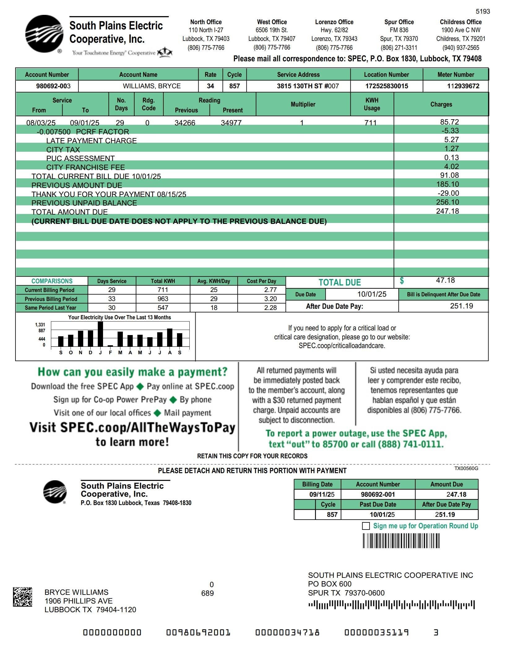 Electricity Utility Bill Template - Customizable Fields - Digital ...