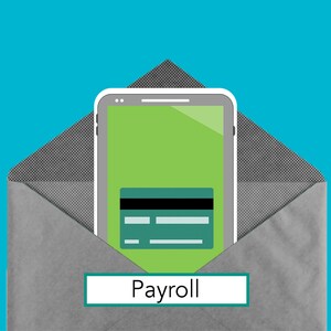 Online Paychecks | Checkstub Template | Professional Editable PDF ...