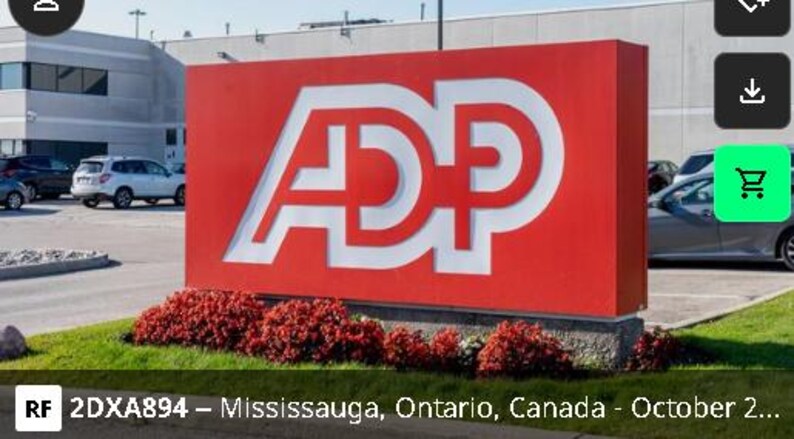 ADP Check Stub Template for Payroll Digital Pay Stub Creator - Etsy ...