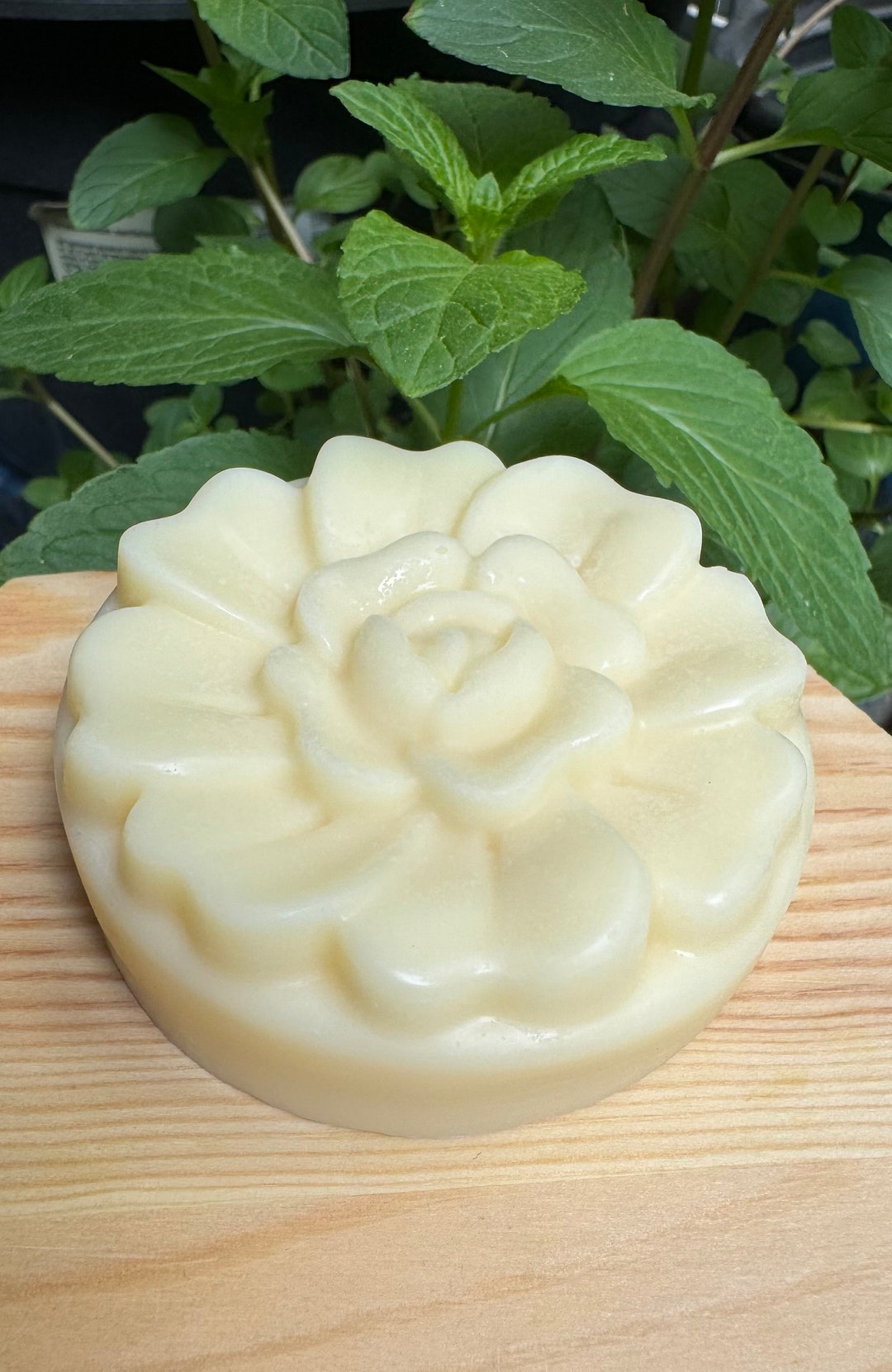 Hair Conditioner - Etsy