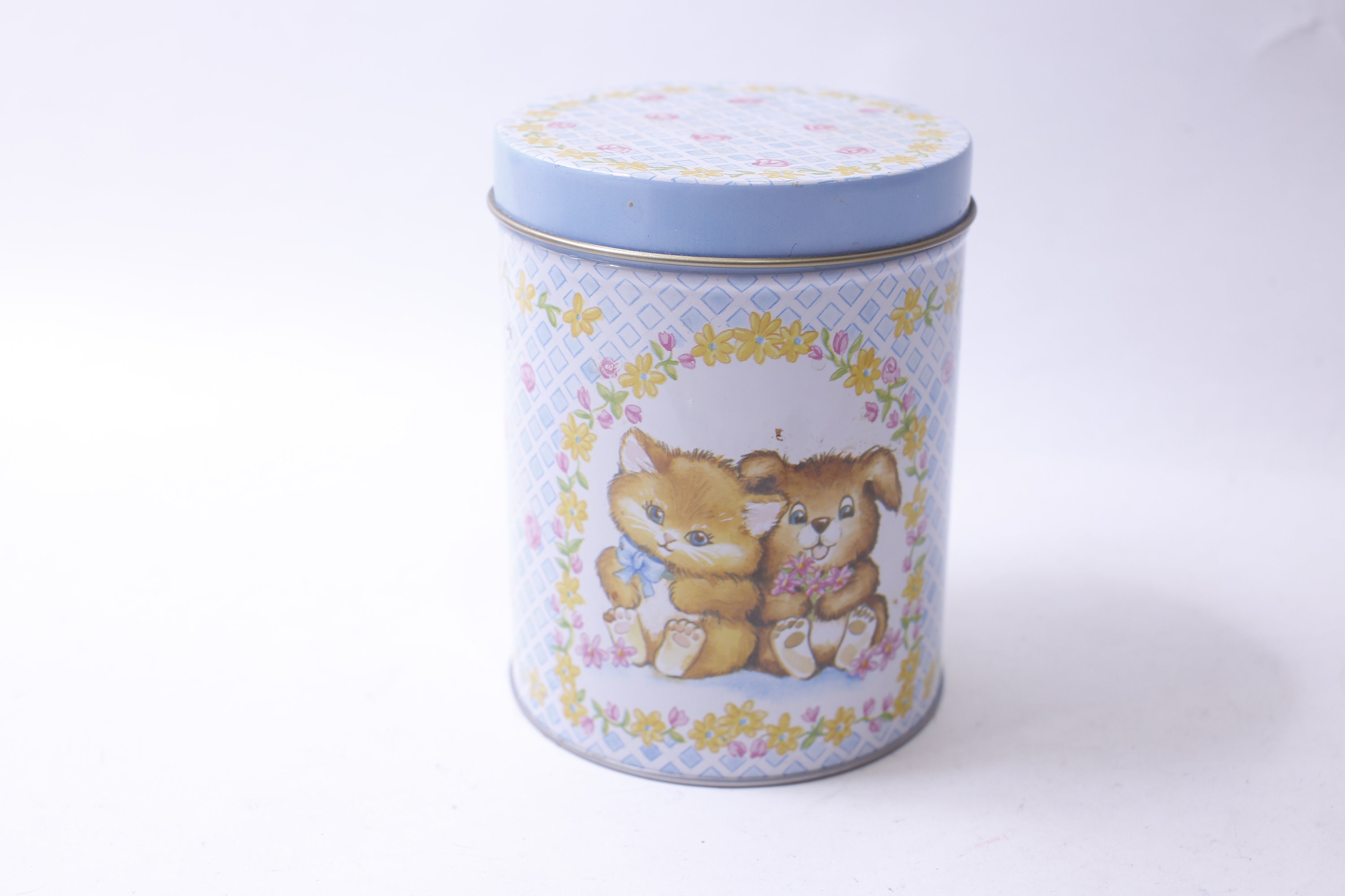 1980s Country Cylinder Tin Box With Cute Kitten and Puppy, Blue-white ...