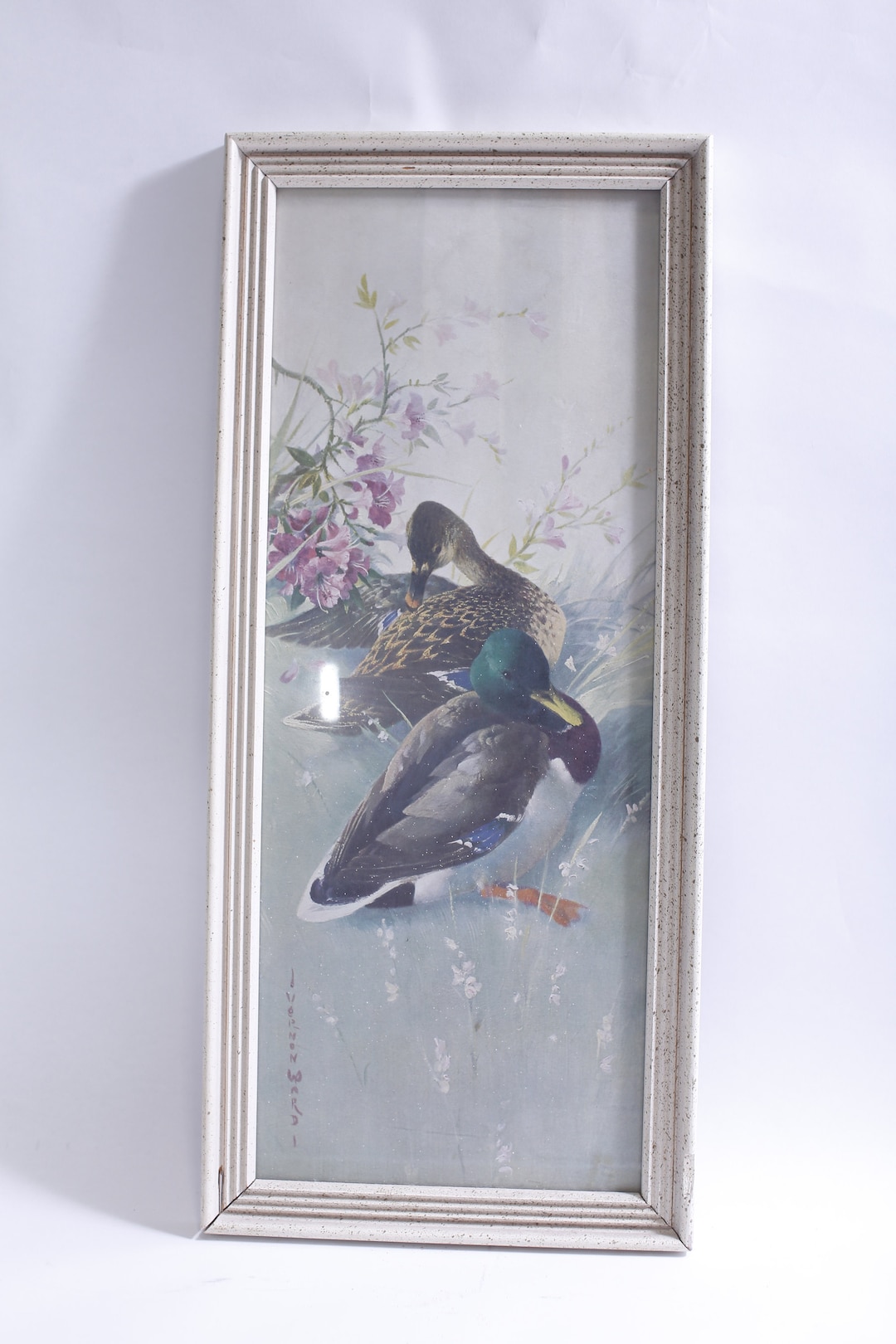 Vernon Ward, Ducks Couple, Print, Reproduction, 9.5x21.5", Framed ...