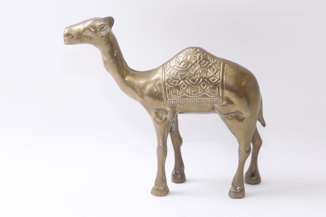 Camel, Brass Figurine, Dromedary, Oriental, Animal, 7x8", Statuette ...