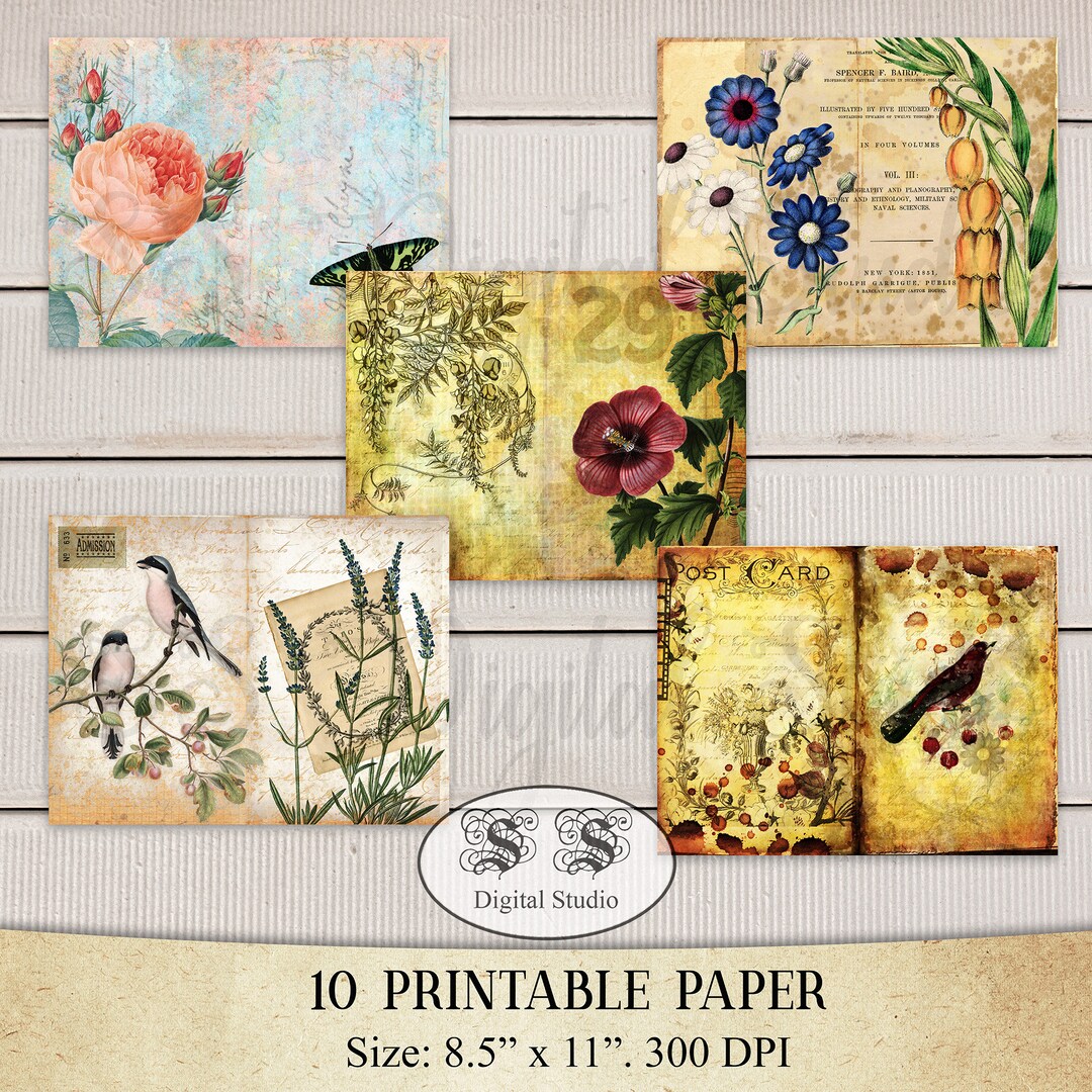 10 Sheets, Landscape, Collage Sheets, Script, Stamp, Mixed Media ...