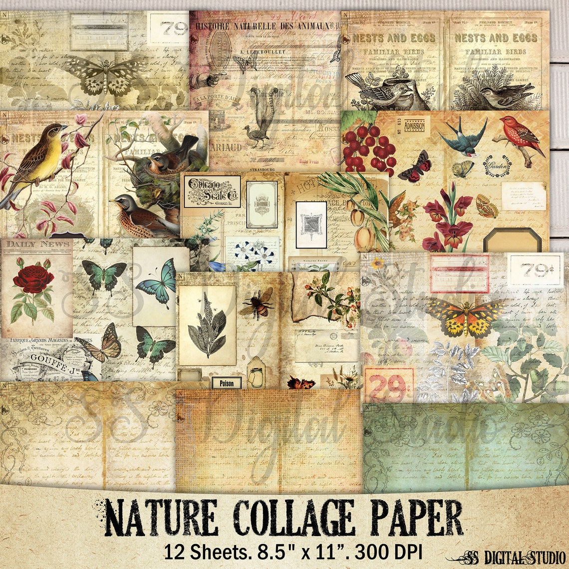 Nature Collage Paper Birds Journal Paper Printable Digital - Etsy