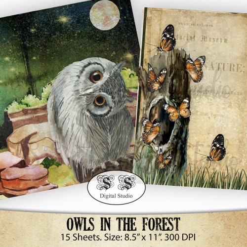 Vintage Owl Printable Paper Woodland Journal Paper - Etsy