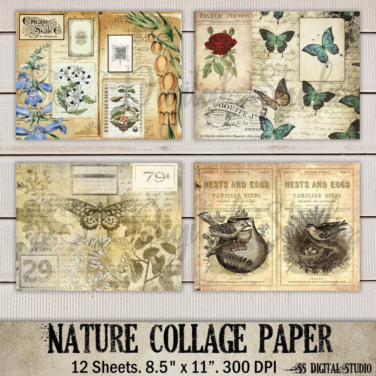 Nature Collage Paper Birds Journal Paper Printable Digital - Etsy