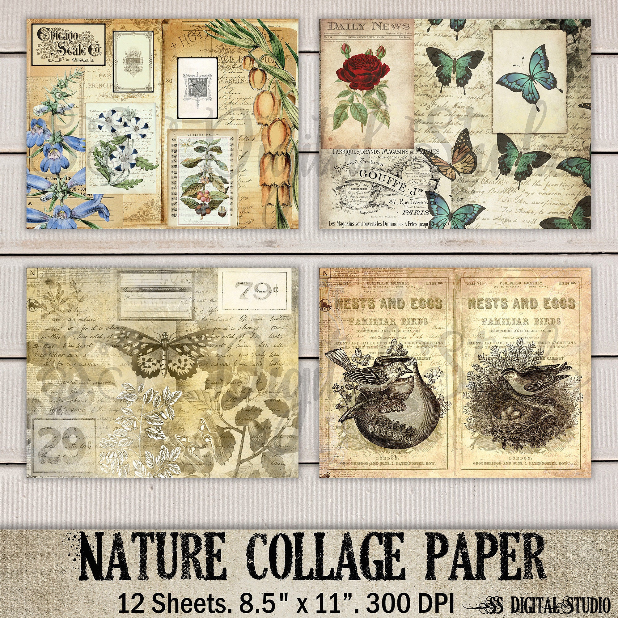 Nature Collage Paper Birds Journal Paper Printable Digital - Etsy