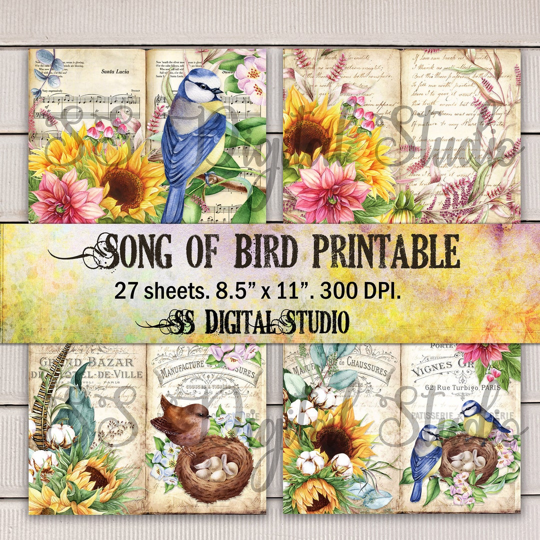 27 Sheets, Bird Theme Journal Kit, Journal Pages, Song, Music, Sun ...