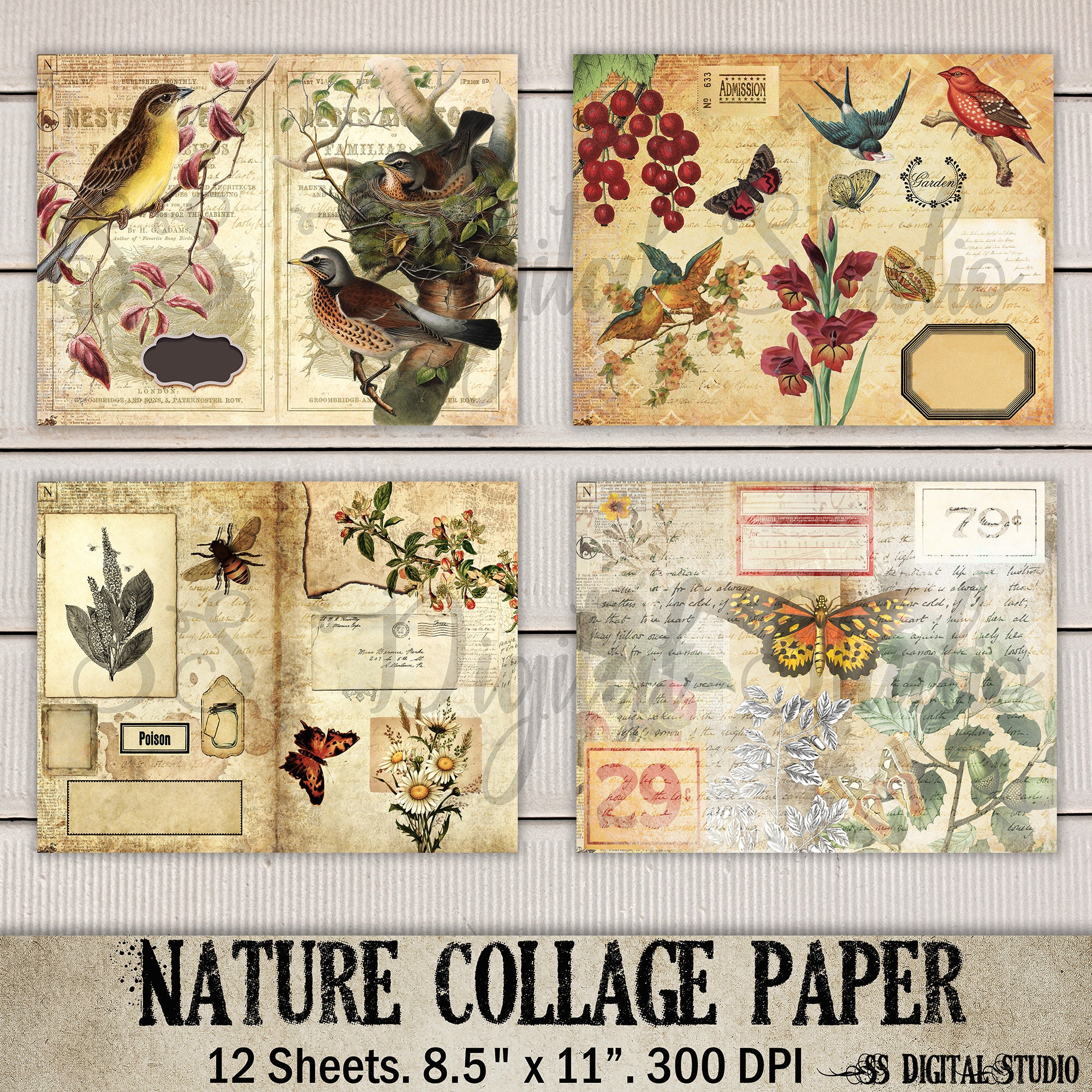 Nature Collage Paper Birds Journal Paper Printable Digital - Etsy