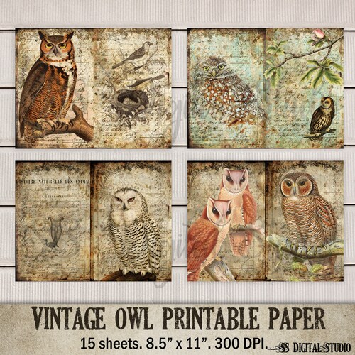 Vintage Owl Printable Paper Woodland Journal Paper - Etsy