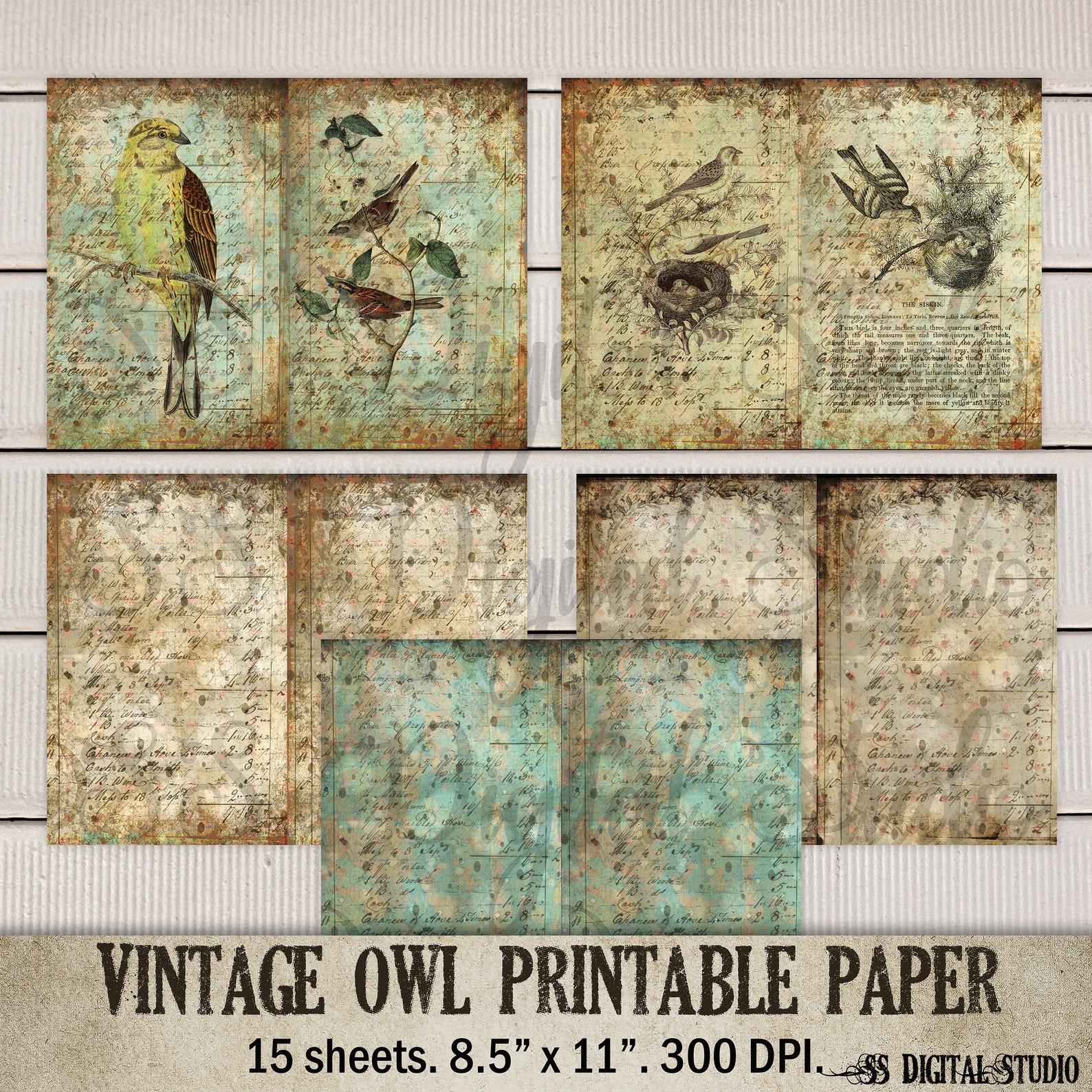 Vintage Owl Printable Paper Woodland Journal Paper | Etsy