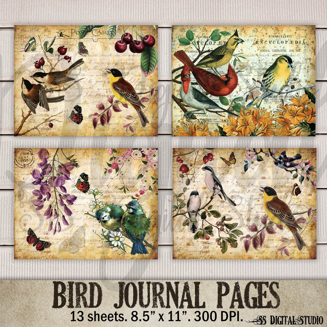 Bird Journal Paper, Nature Collage Paper, Printable , Digital Journal ...