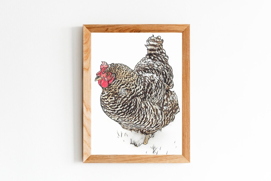 Animal 8x10 Wall Art, Bird Wall Art, Bird Art, Chicken Art, Kids Room ...