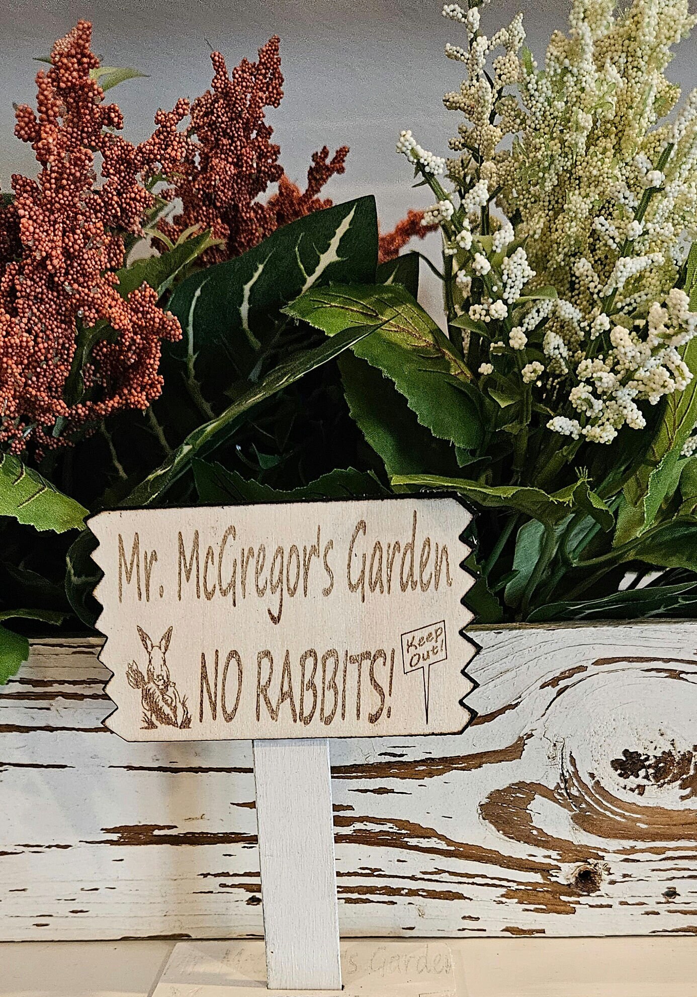 Peter Rabbit Cotton Tail, Mr. Mcgregor's Garden, Wood Sign, Rabbit ...