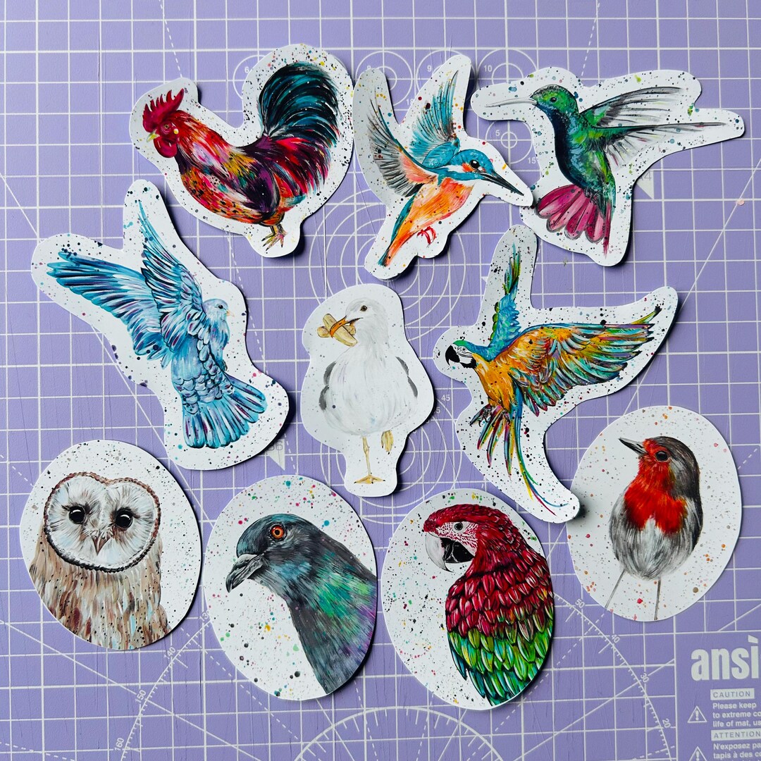 Bird Sticker Pack: 10 Wildlife Designs, Journal Appliqués - Etsy