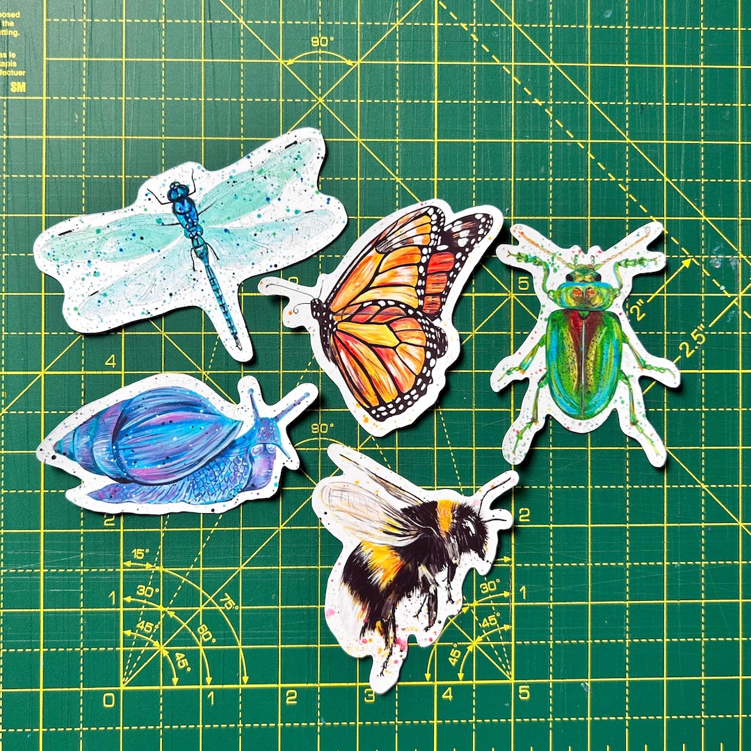 Insect Sticker Pack: Butterfly, Dragonfly, Bee, Beetle, Snail Designs ...