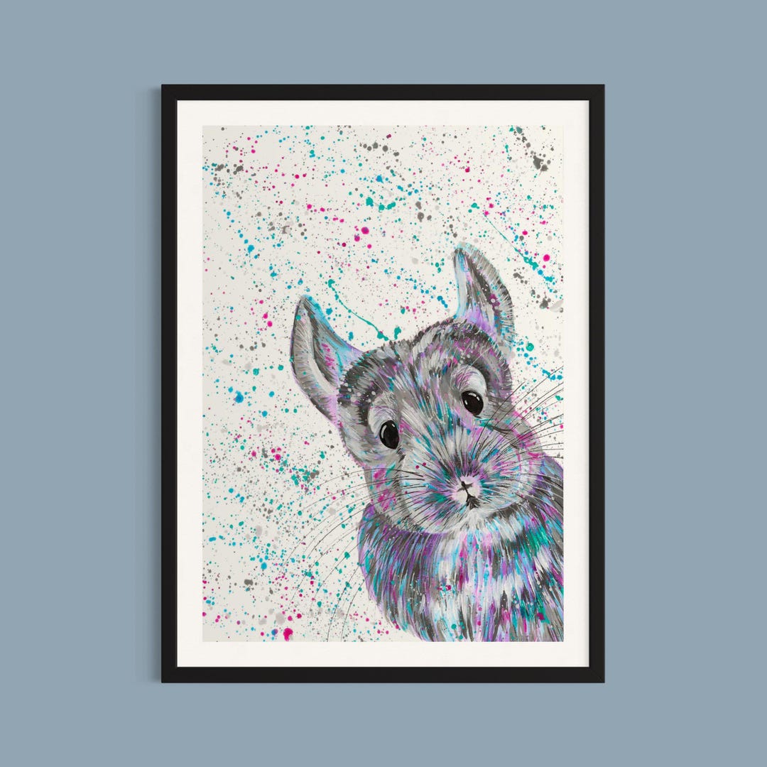 Chinchilla Art Print: Colourful Animal Painting, ‘maisie’ - Etsy
