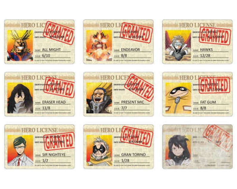 Pro Hero License My Hero Academia | Etsy