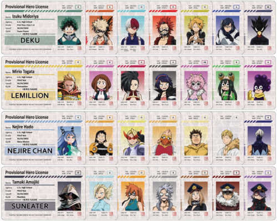 Provisional Hero License My Hero Academia | Etsy