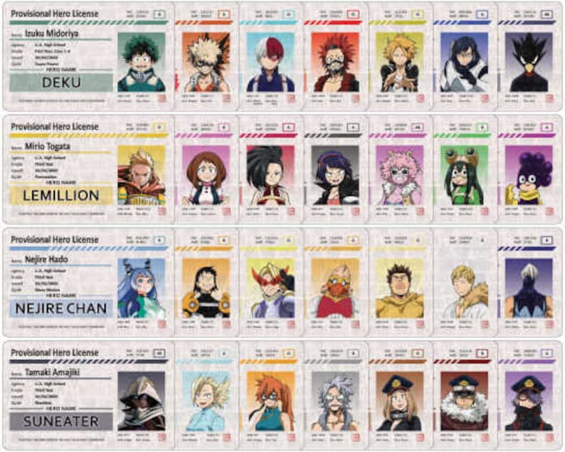 Provisional Hero License My Hero Academia | Etsy