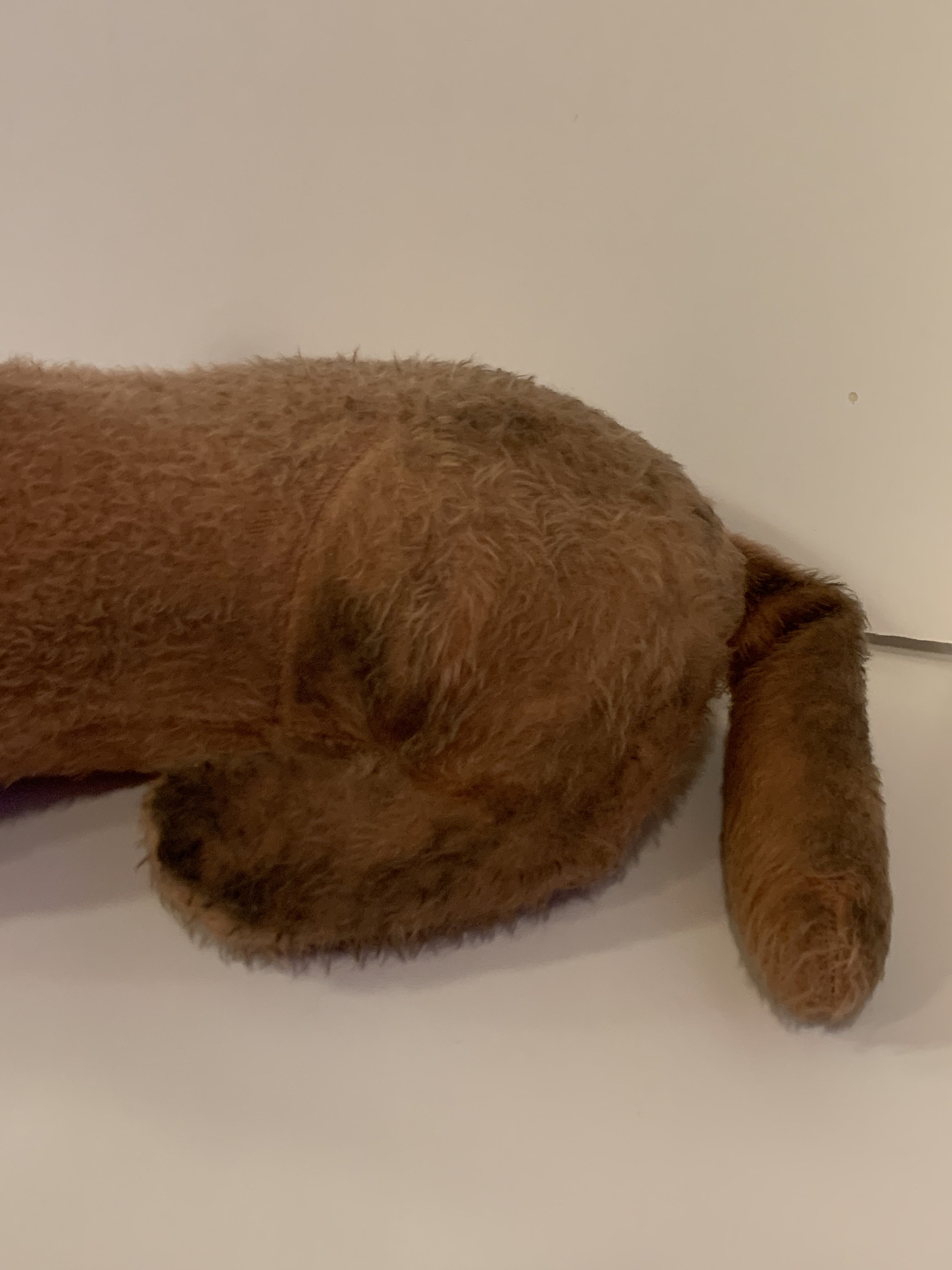 1967 My Toy Plush Pal Rubber Face German Shepherd Dog - Etsy