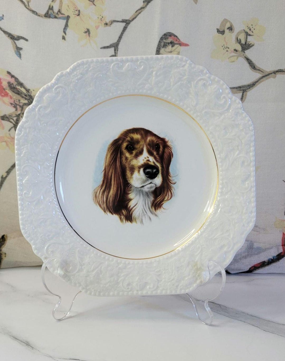 Vintage Lord Nelson Pottery - "springer Spaniel" - Embossed Rim With a ...