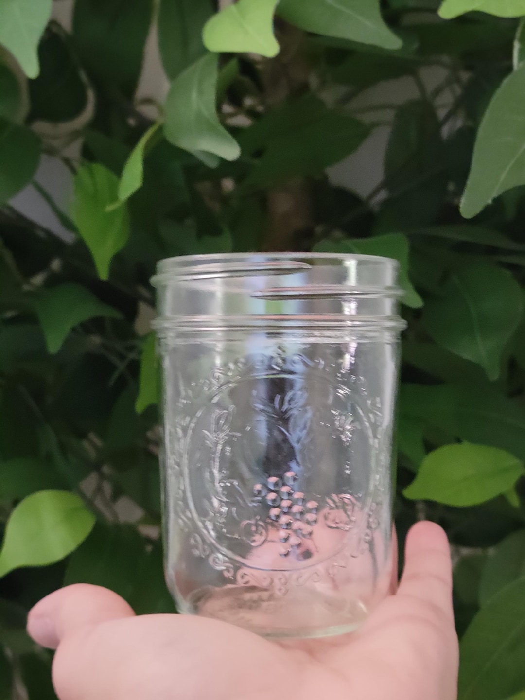 Vintage Wide Mouth Ball Mason Jar Sculptured Glass Embossed Fruit - Etsy