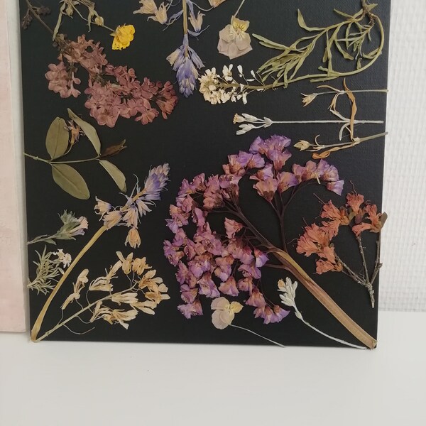 Fleurs séchées - Etsy France