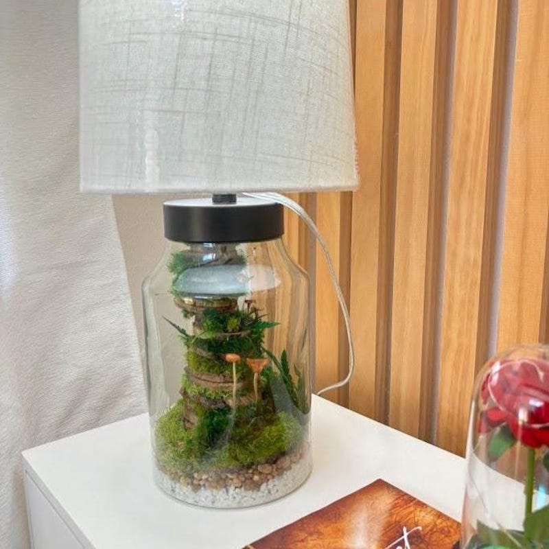Terrarium Lamp - Etsy