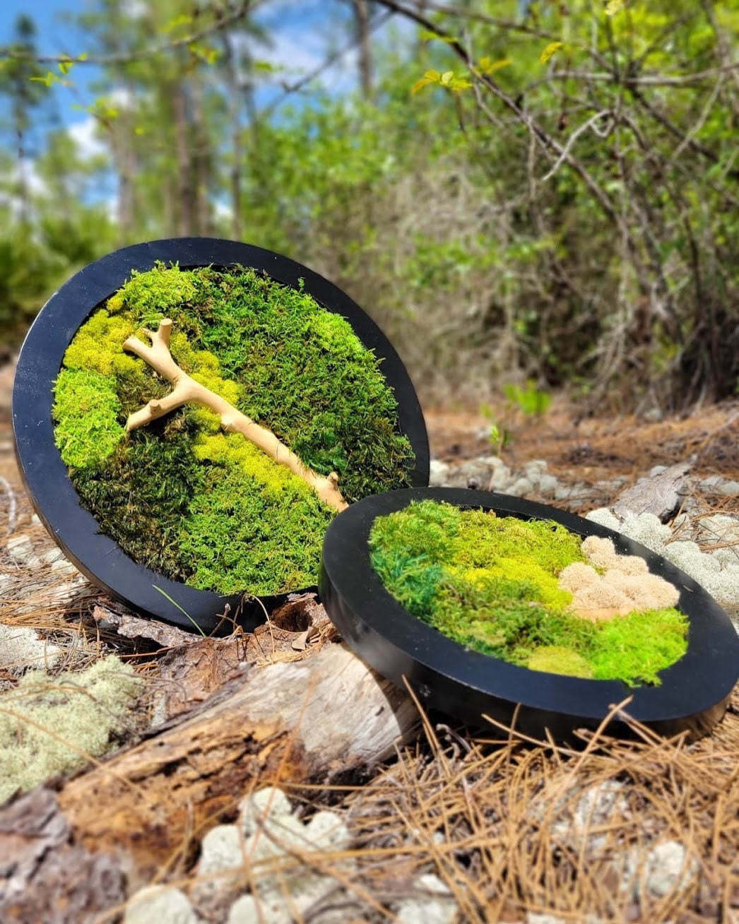 Circular Moss Wall Art, Moss Wall Art Preserved Moss Round Art Circular ...