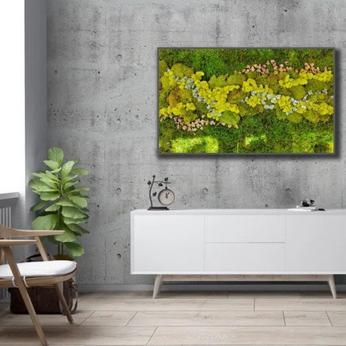 Starburst Moss Wall Art - Etsy