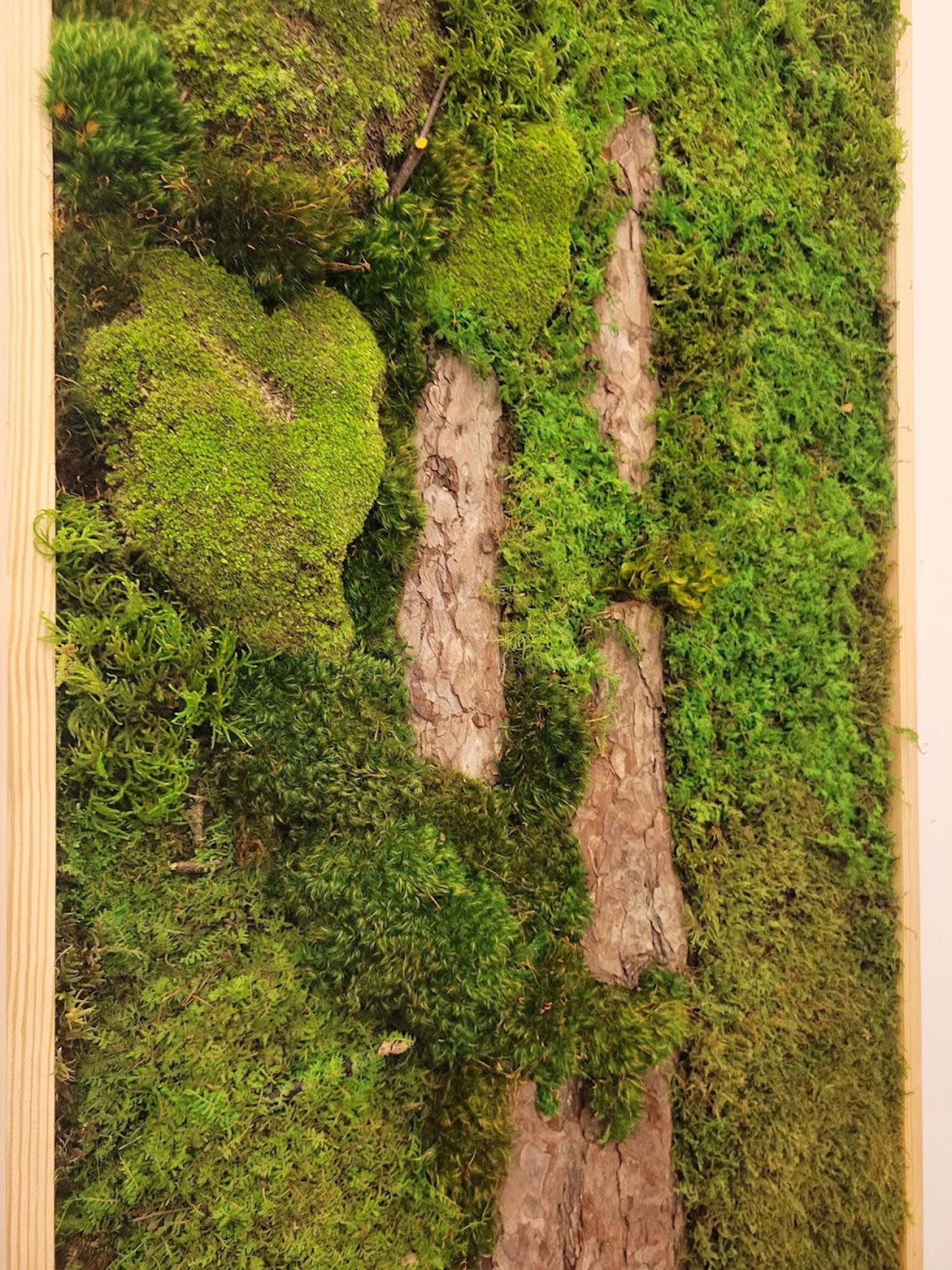 Moss Wall Art - Etsy