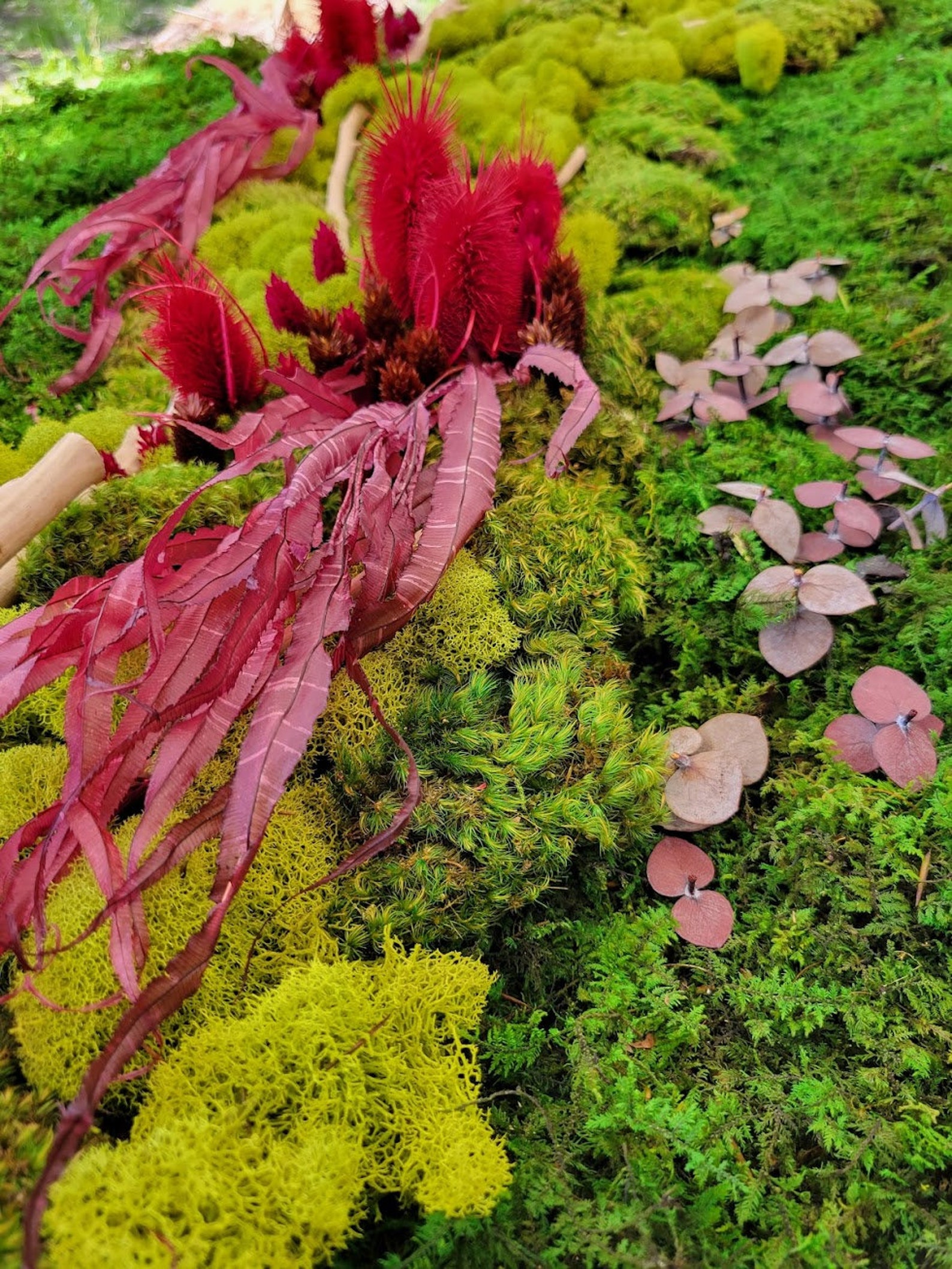 Moss Wall Art Details in Red - Etsy