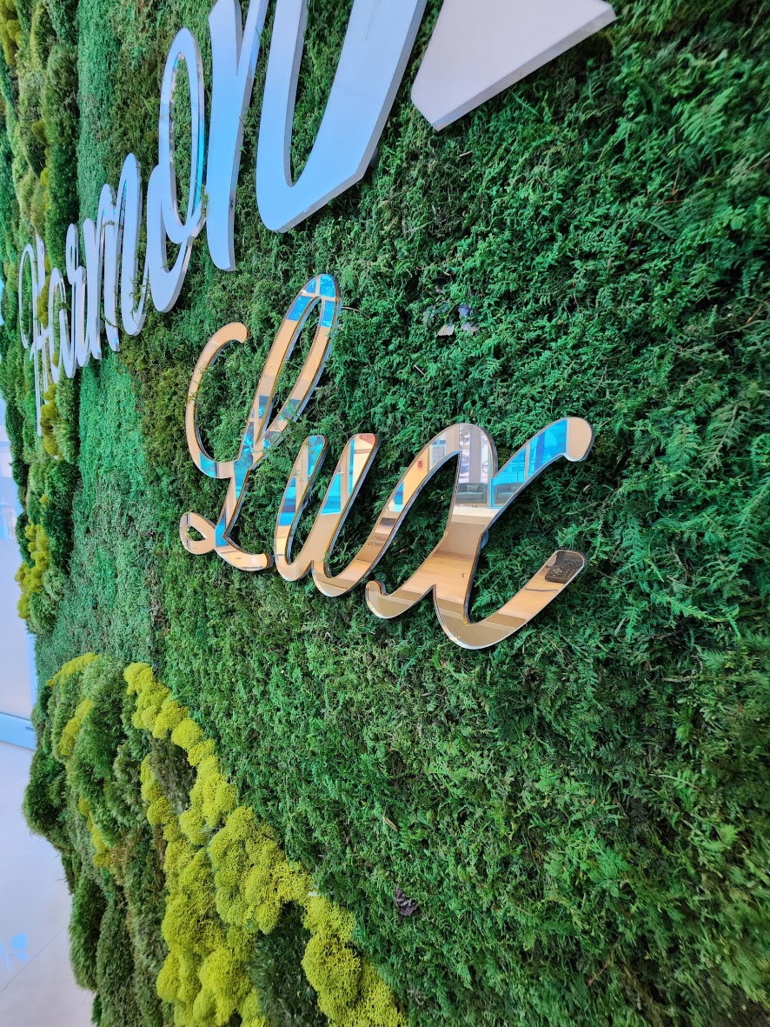 Custom Moss Logo Signs - Etsy