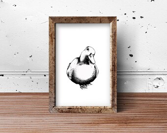 Fat Little Bird Sketch Drawing Illustration 8.5 X 11 - Etsy