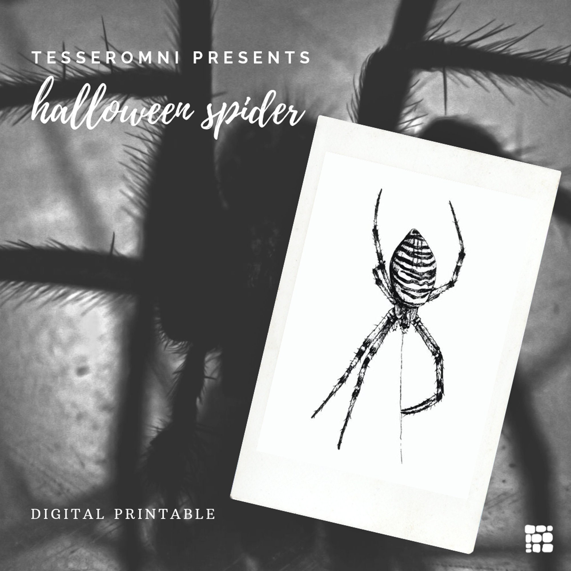 Spider Printable, Hand Drawn Printable, Animal Printable, Spider Poster ...