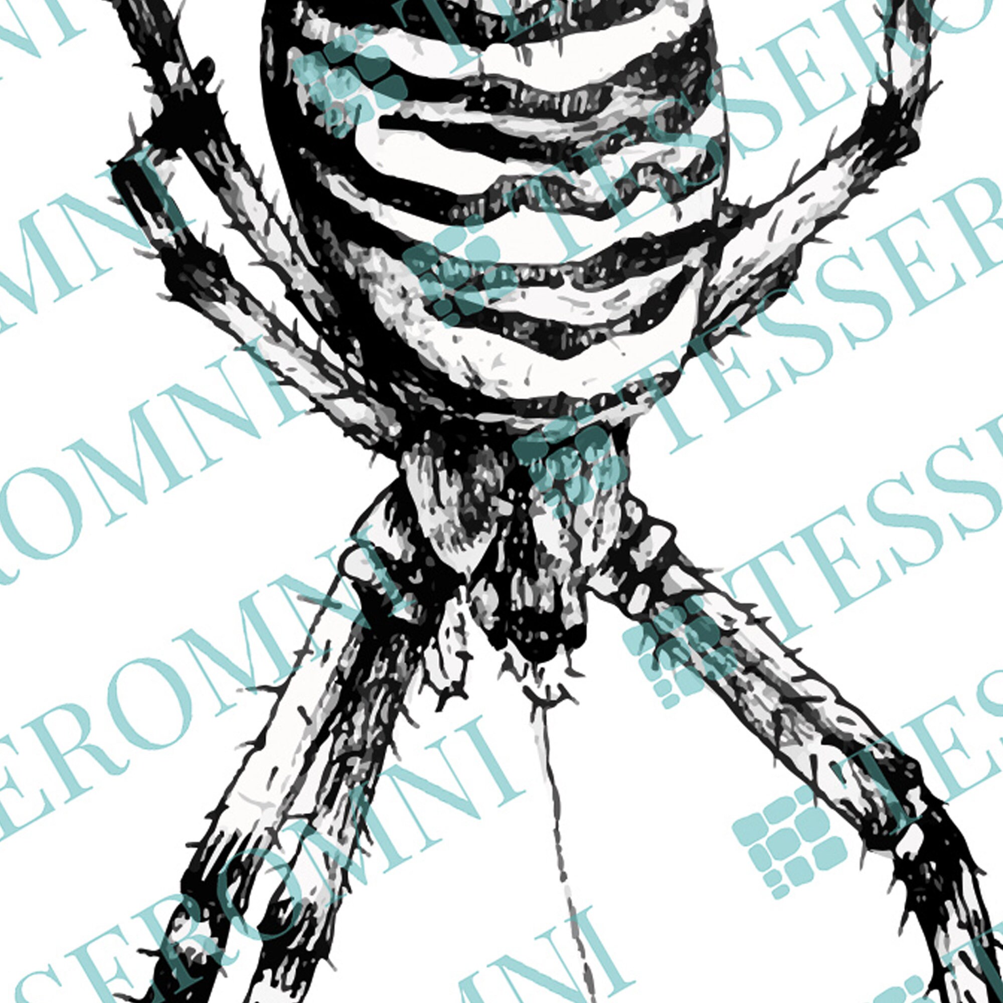 Spider Printable, Hand Drawn Printable, Animal Printable, Spider Poster ...