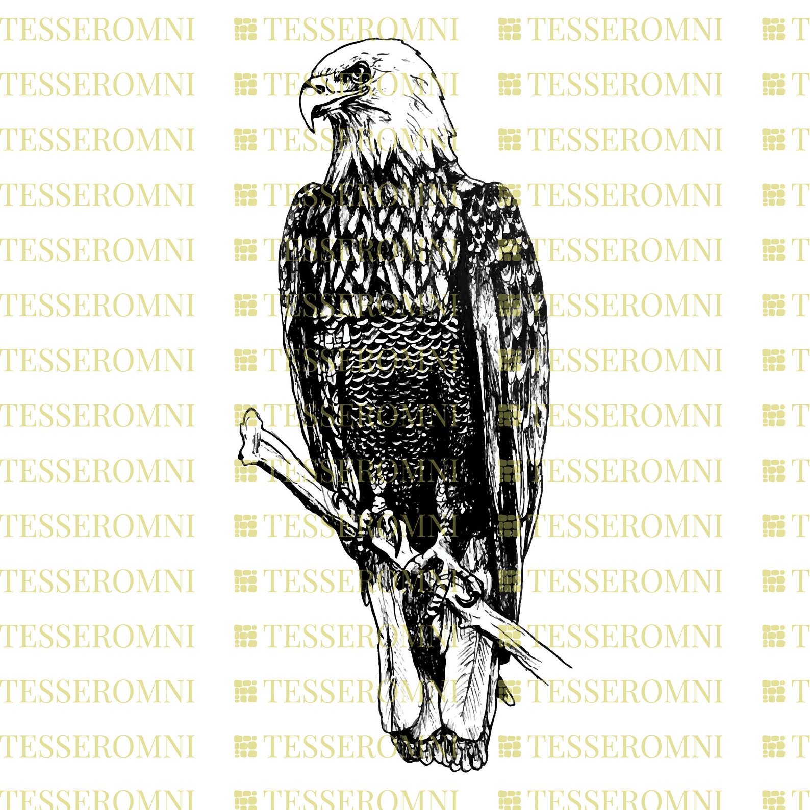 Bald Eagle Print, Animal Print, Wall Art, Bald Eagle Poster Digital ...