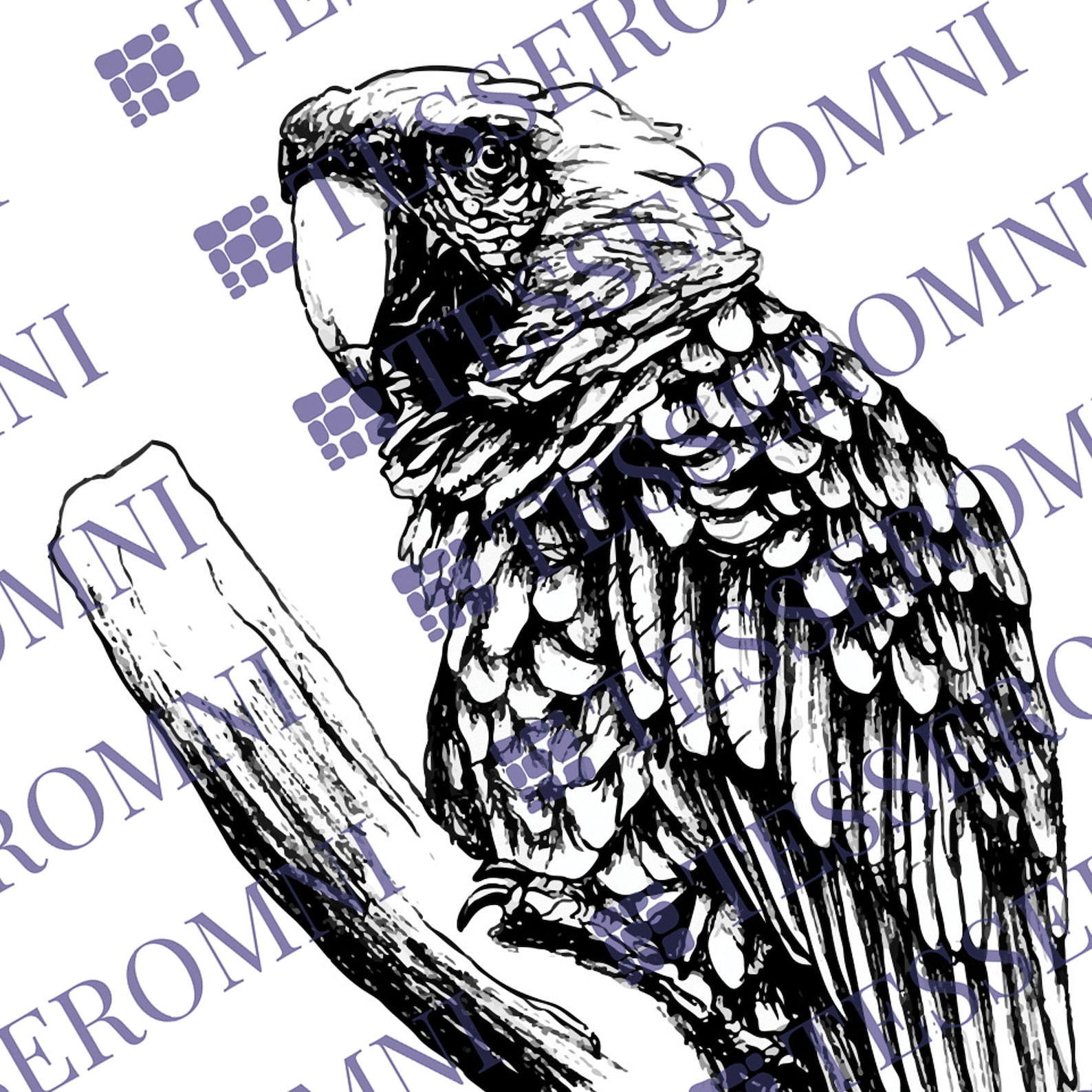 Scarlet Macaw Animal Drawing Digital Print Art Print - Etsy