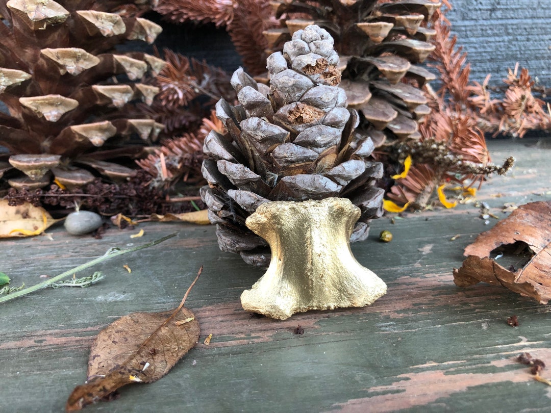 1 Gold Painted Deer Sternum Bone. Natural Bone Mjolnir. - Etsy